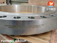 China ASME SA182 F317L WN RF Stainless Steel SMLS Flange , Bridas for sale