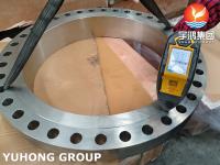 China ASME SA182 F317L WN RF Stainless Steel SMLS Flange , Bridas for sale