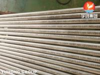 China High Thermal Conductivity ASTM A213 TP444 1.4521 UNS S44400 Seamless Tube for sale