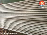 China ASTM A213 TP444  Seamless Ferritic Austenitic Alloy Steel Tube  Superheater Boiler for sale