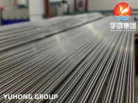 China Stainless Steel Seamless Bright Annealed Tube A213 / A269 TP304 / TP316 19.05*1.24*6000MM for sale