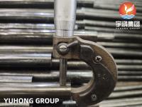 China Alloy Steel Seamless Tube ASTM A213 T11 T22 Heat Exchanger Tube High Pressure Boiler Tube for sale