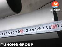 China ASTM A312 TP310S Austenitic Stainless Steel Seamless Pipe For Heat Exchanger for sale
