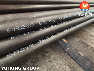 China ASME SA213 Seamless T22 Carbon Alloy Steel Boiler Tubes for sale