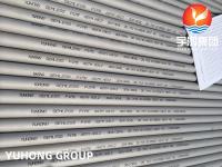 China ASTM A312 TP304 / TP304L SMLS Austenitic Stainless Steel Pipes for sale