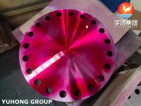 China ASTM A182 F304/304L Blind B16.5 Forged Flange Raised Face BLRF #600 for sale