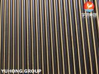 China ASTM A269,ASME  SA269 TP316L Bright Annealed Stainless Steel Tube for sale