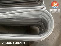 China ASME SA213 TP310S Seamless U Bend Tube Heat Exchanger Tube for sale