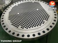 China Stainless Steel Carbon Steel Forged Tubesheet For Heat Exchanger Application for sale