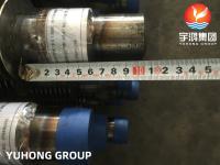 China ASME SA213 T12 High Efficiency Welded Helical HFW Helical Spiral Serrated Finned Tube For Heat Exchanger Air Cooling for sale