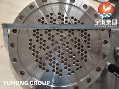 China ASTM A182 F316L SS Tube Sheet Baffle Plates , Placa Para Caldera for sale