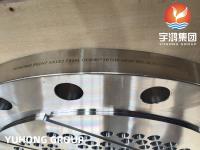 China ASTM A182 F316L SS Tube Sheet Baffle Plates , Placa Para Caldera for sale