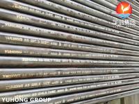 China ASME SA213 T22 / 12Cr2Mo Alloy Steel Seamless Tube, Used For Boilers And Superheaters In Power Plants for sale