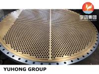 China ALLOY STEEL A182 F11 F22 TUBESHEET FORGED TYPE FOR HEAT EXCHANGER for sale