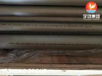 China ASTM A790 / ASME SA790 UNS S31803 Duplex Steel Seamless And Welded Pipe For Boiler for sale
