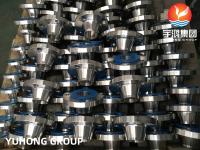 China ASTM A182 F316L Stainless Steel Flange Weld Neck Raised Face  B16.5 for sale