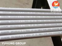 China EN 10216-5 1.4541, TP321 Stainless Steel Seamless Tube, Pickled Surface, Heat Exchanger Tube for sale
