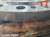 China Heat Exchanger Parts Sa266 Gr.2n Carbon Steel Tubesheet Thread Hole for sale