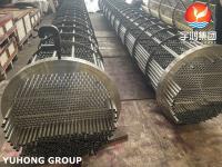 China Tube Bundle Assembly for Heat Exchanger, Material in Stainless Steel/Copper Alloy/Nickel Alloy for sale