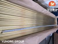 China ASTM B111 C44300 Seamless Admiralty Brass Tube For Heat Exchanger for sale