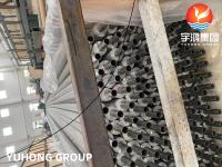 China ASTM A249 Stainless Steel TP304 And Aluminum Fin Tube for sale