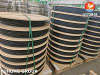 China Multicore Tubing Single Sheathed Core Stainless Steel Seamless Tube TP304 PVC for sale