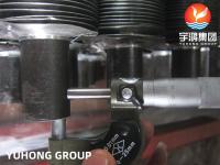 China ASTM Fin Tube L Type Stainless Steel, Duplex Steel, Alloy Steel for sale