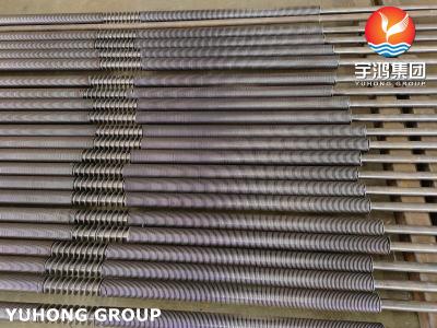 China High Frequency Welding ASTM A179 Carbon Steel U Bend Seamless Tubes for Economizer for sale