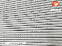 China ASTM A213 TP316L, 1.4404, S31603 Stainless Steel Seamless Heat Exchanger Tube for sale