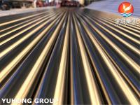 China ASTM A269 TP316L Bright Annealed Seamless Tube For Sea Water Equipment for sale
