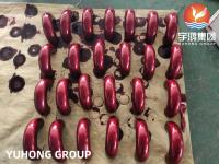 China ASTM A815 WPS32205-S Duplex Stainless Steel Butt Weld 180 Degree U Bend For Desalination for sale