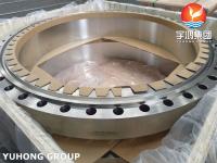 China High Corrosion Resistance ASTM A182 F310 Forged Flange Weldneck RTJ for sale