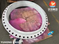 China High Corrosion Resistance ASTM A182 F310 Forged Flange Weldneck RTJ for sale