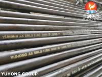 China ASME SA213 Grade T22 Alloy Steel Seamless Tube Boiler Tube Heat Exchanger Tube for sale