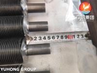 China A179 Would Fin Tube L-Shaped AL1060 Fin Carbon Steel Tube Oil Cooler for sale