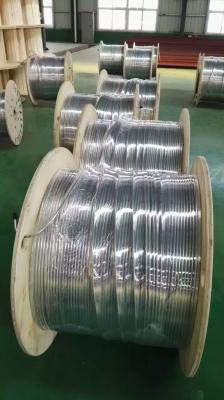 China Stainless Steel Coil Tubing , A213/A269 TP304L /TP316L  6.35mm , 9.52mm, 12.7mm , bright annealed for sale