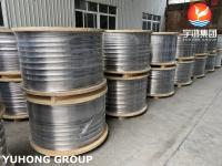 China ASTM A269 TP316L Seamless Tube (Ra≤0.4μm) Bright Annealed for Precision Instruments for sale
