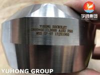 China High-Temperature Stainless Steel Fitting ASTM A182 F60 Forged Olet MSS SP-97 for sale