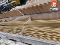 China Seamless Copper Tube ASTM B111 C68700 O61 Aluminum Bronze B U Bend Tube for sale