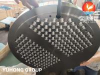 China EN10028 1.4541 Tube Sheet Providing Long-Lasting Performance In Harsh Environments for sale