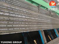 China ASME SA179 Seamless Cold Drawn Low Carbon Steel Tubes For Boilers And Heat Exchangers for sale