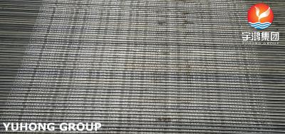 China EN10216-2 TC2 P235GH 1.0345 Seamless Alloy Steel Tubes For Caldera Boiler for sale