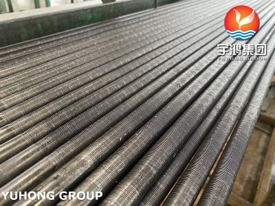 China Heat Exchanger Low Finned Tube A213 TP304 SIZE AS PER DRAWING for sale
