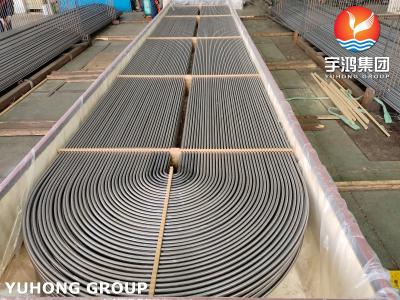 China Stainless Steel Seamless TP304 U Bend Heat Exchanger and Furnace Tubes for sale