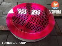 China ASME SA182 F304 UNS S30400 Stainless Steel Heat Exchanger Tubesheet of Tube Bundle for sale