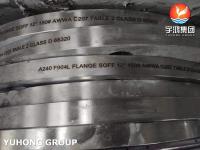 China ASTM A240 F904L Stainless Steel AWWA C207 Table 2 Class D Slip on FF Flange for sale