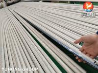 China ASTM A269 TP304 Stainless Steel Seamless Tube Pickled and Annealed Tubing for sale