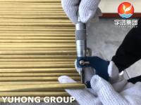 China EN12449 CuZn20Al2As C68700 Brass Seamless Tube for Power Plants Condenser for sale
