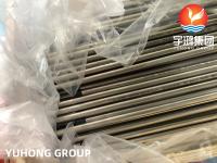 China Seamless Precision Bright Annealed Stainless Steel Tubing ASTM A213 ASME SA269 for sale