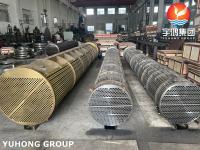 China Heat Exchanger Tube Bundle, Stainless Steel Seamless Tube  ASME SA213 TP316L , Tubesheet  SA350 LF2 CL1N for sale